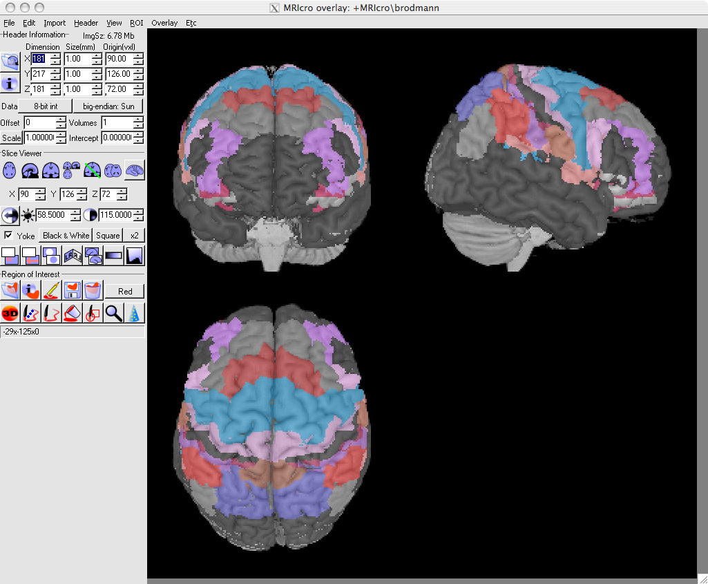 Will MRIcro run on Mac or Linux? | CodeWeavers